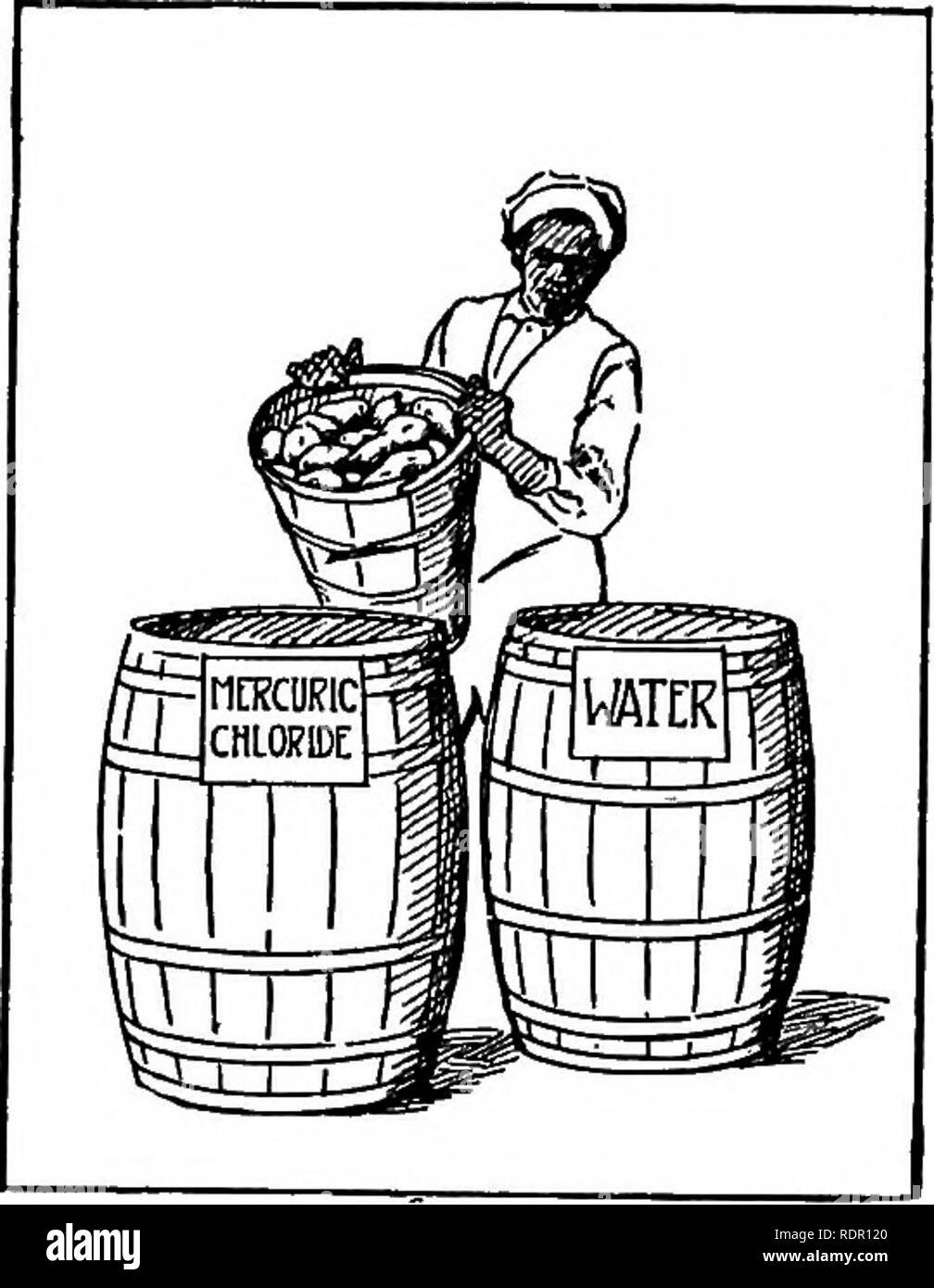 Colonial Molasses