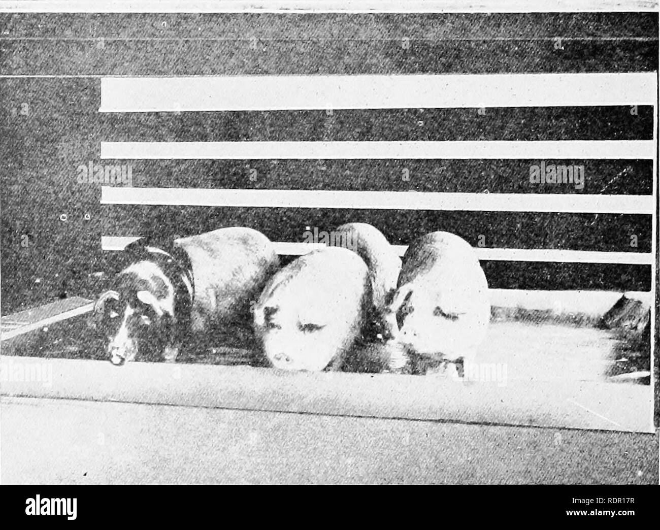 Concrete vat Black and White Stock Photos & Images - Alamy