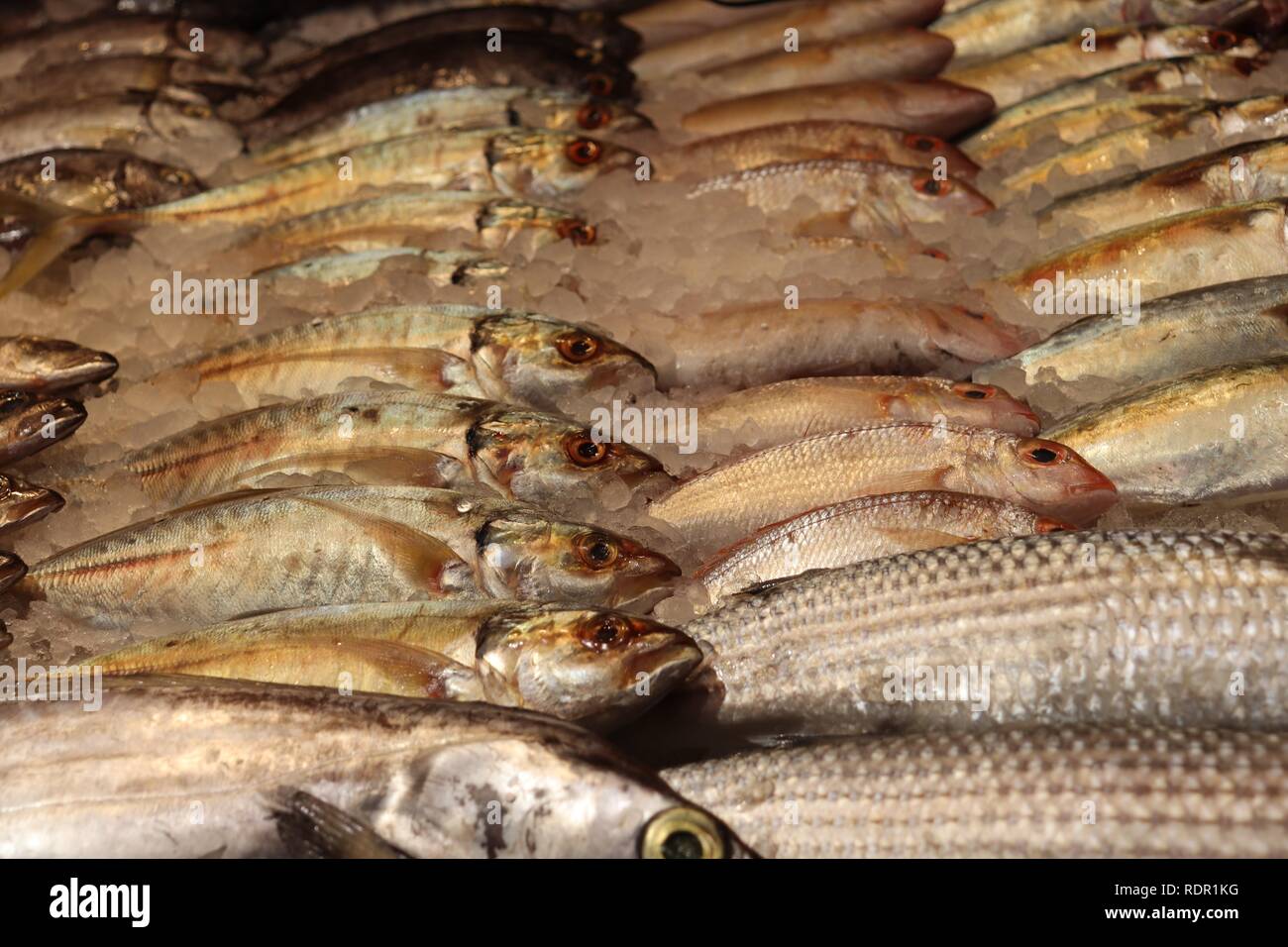 Savaloy hi-res stock photography and images - Alamy