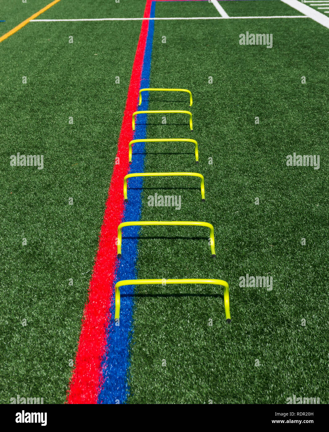 Six yellow mini banana hurdles are lined up in a straight line on a green turf field for speed ...