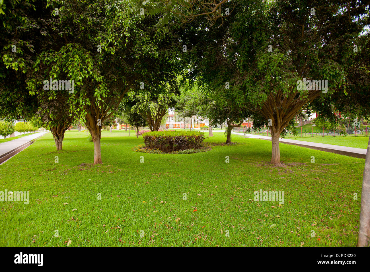 Lima family park hi-res stock photography and images - Alamy