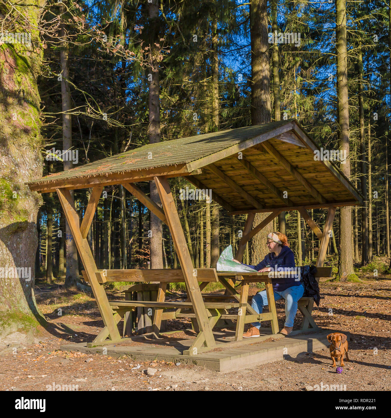 Ardennes forest map hi-res stock photography and images - Alamy