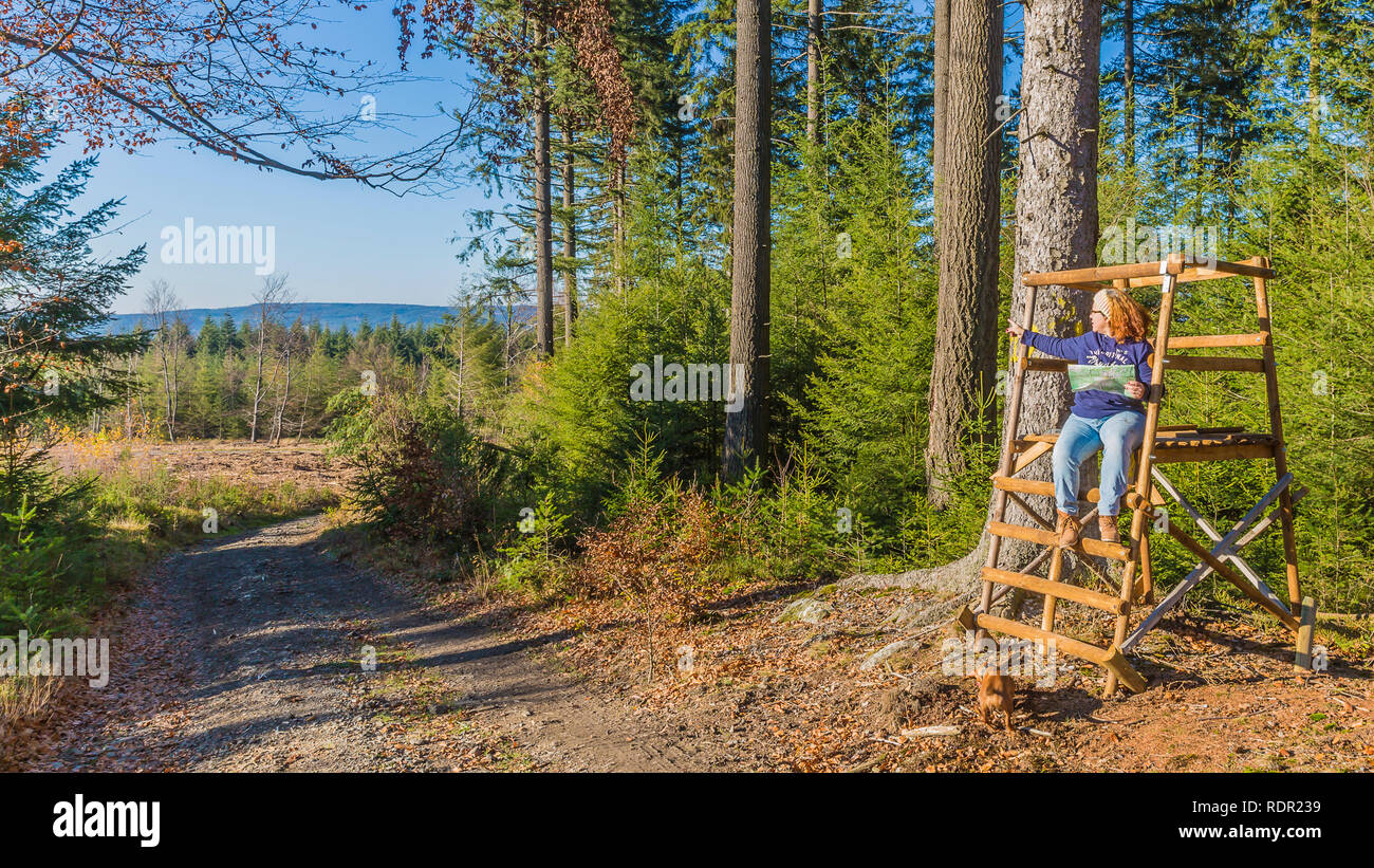 Ardennes forest map hi-res stock photography and images - Alamy
