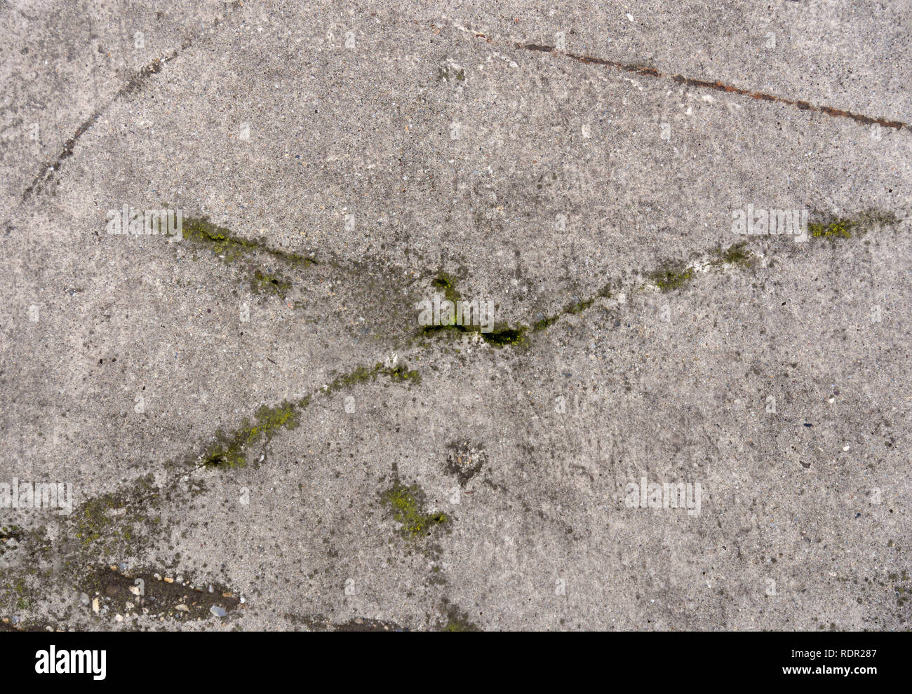 Old concrete cracked gray stone urban texture with green grees moss ...