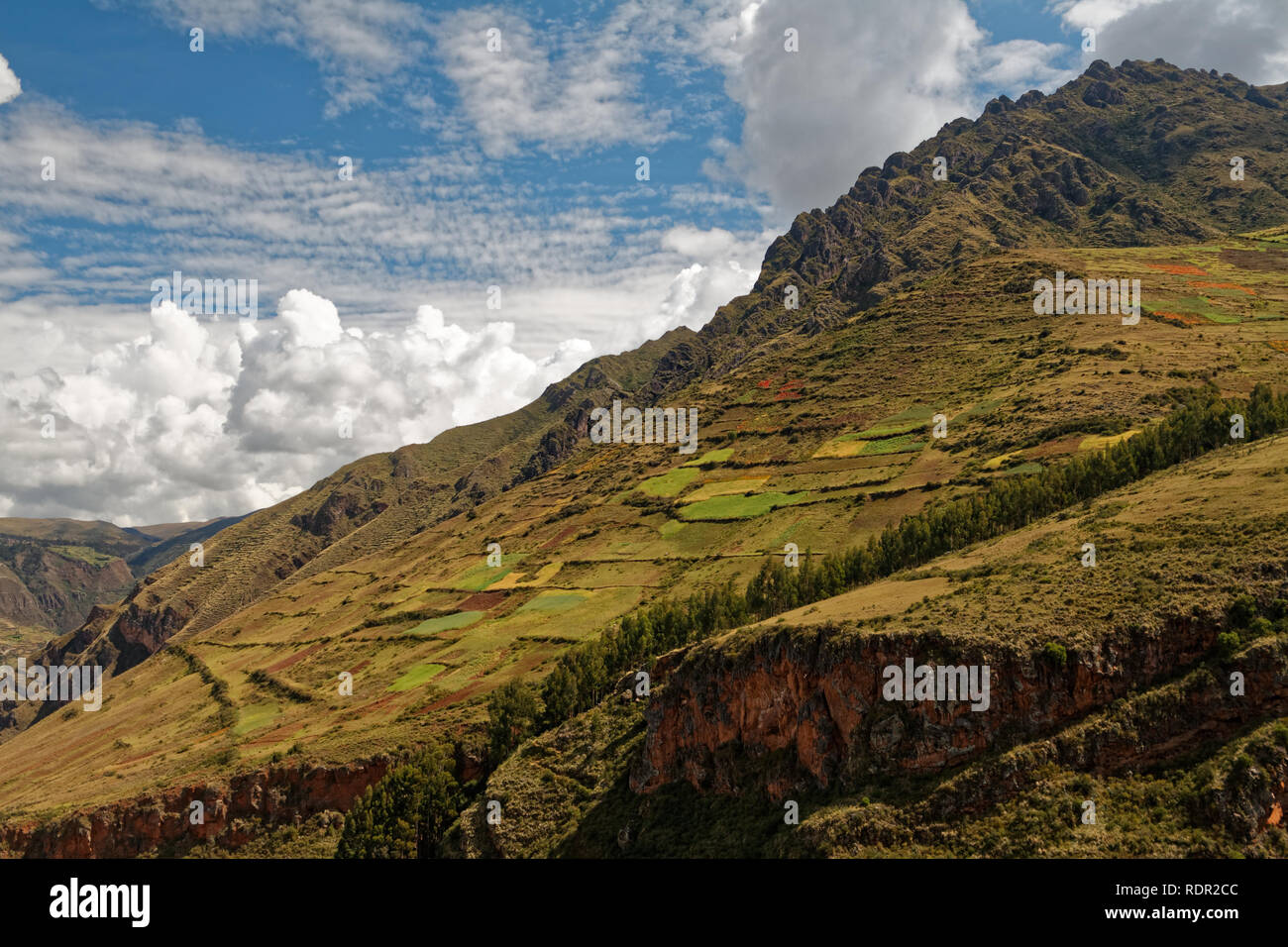 Quinoa fields on mountain slopes near Pisac, Peru Stock Photo - Alamy