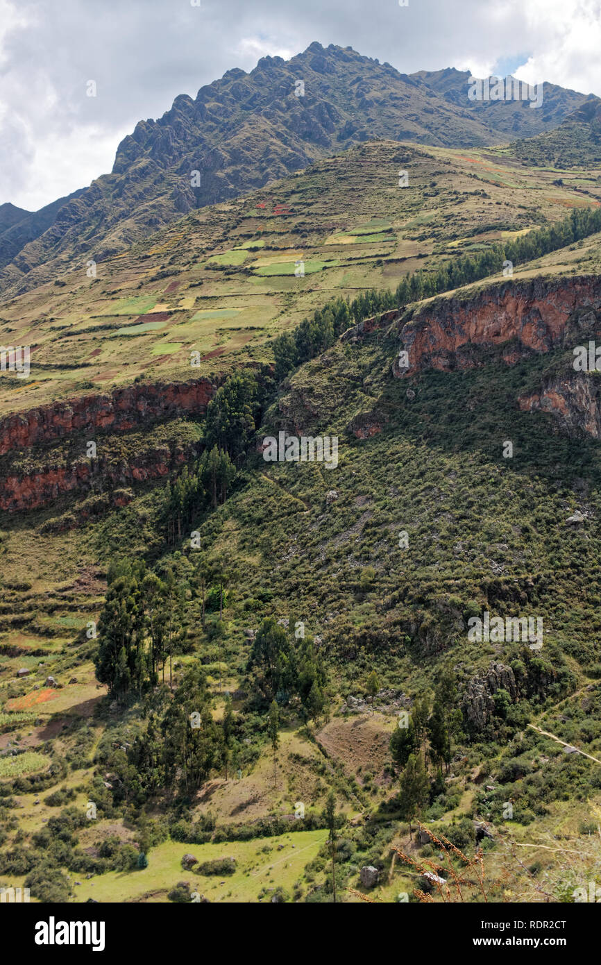 Quinoa fields on mountain slopes near Pisac, Peru Stock Photo - Alamy