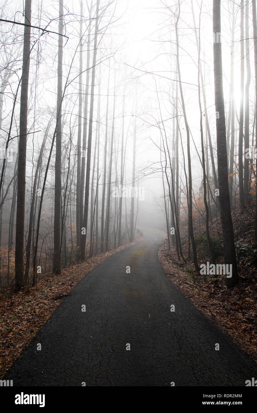 Diffuse light hi-res stock photography and images - Alamy