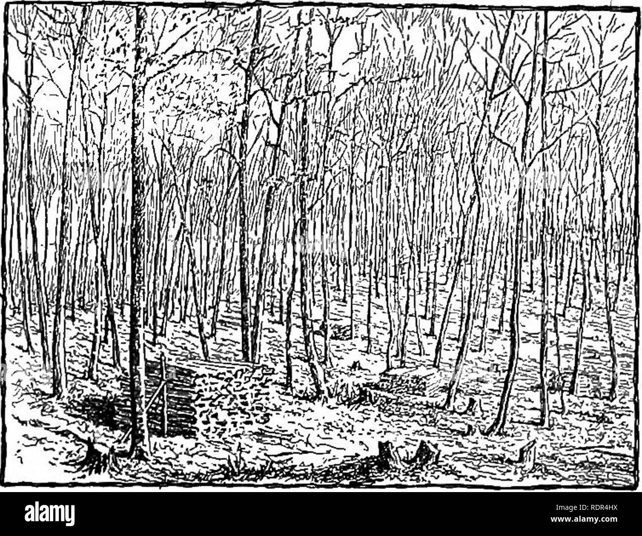 Fire forks Black and White Stock Photos & Images - Alamy
