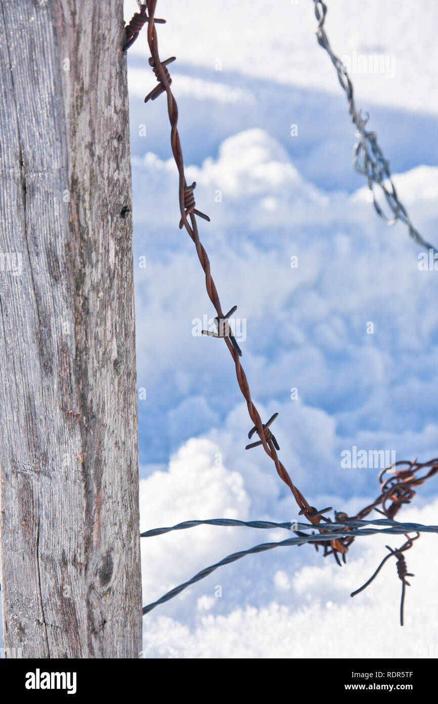 Caution razor wire hi-res stock photography and images - Alamy