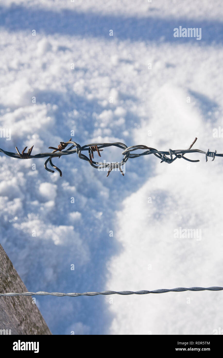 Caution razor wire hi-res stock photography and images - Alamy