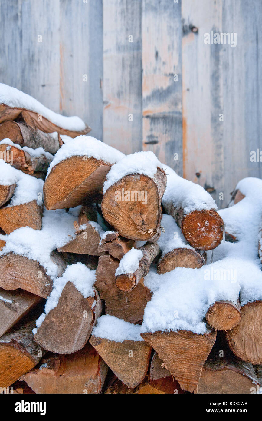 bunch of trunks covered with snow Stock Photo - Alamy