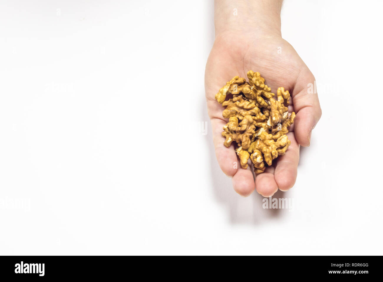 Hand holding bunch of walnuts in isolated white background. This is the ...