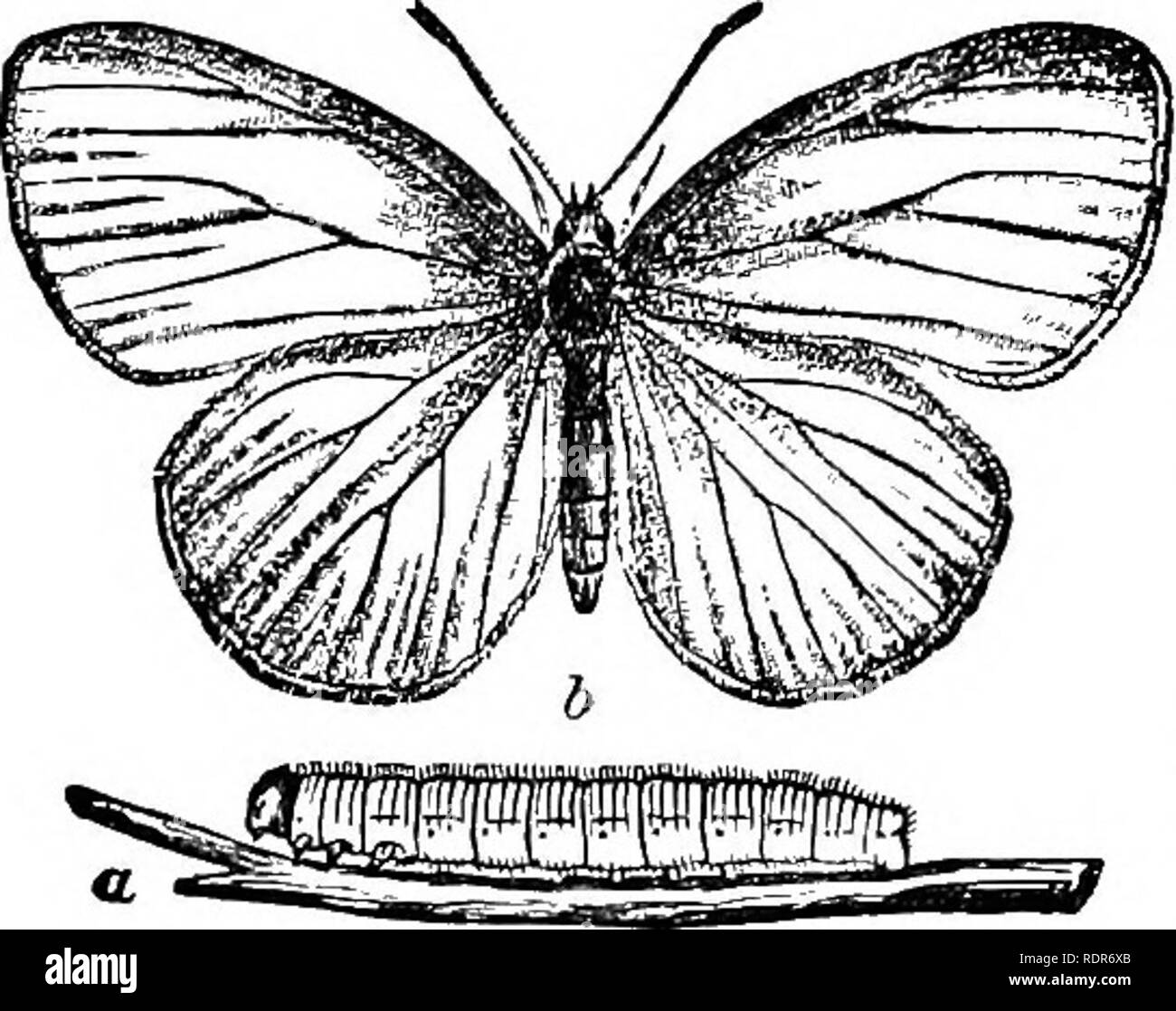 Tip over the edge Black and White Stock Photos & Images - Alamy