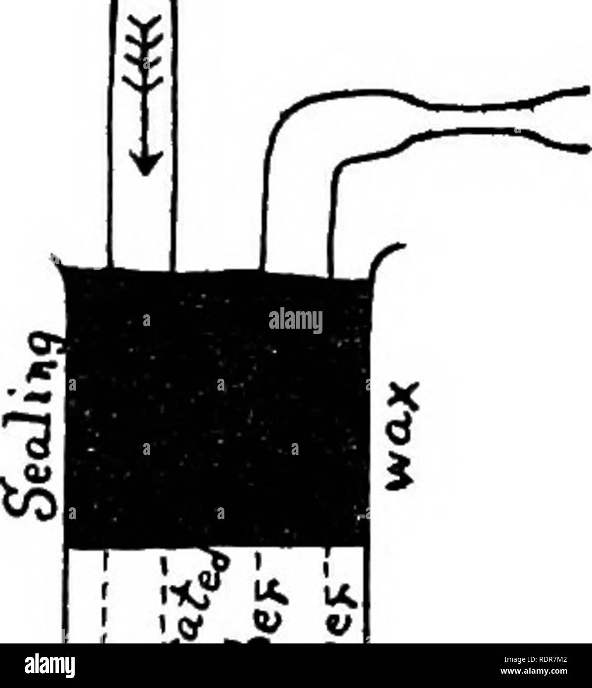 Bacterial death Cut Out Stock Images & Pictures - Alamy