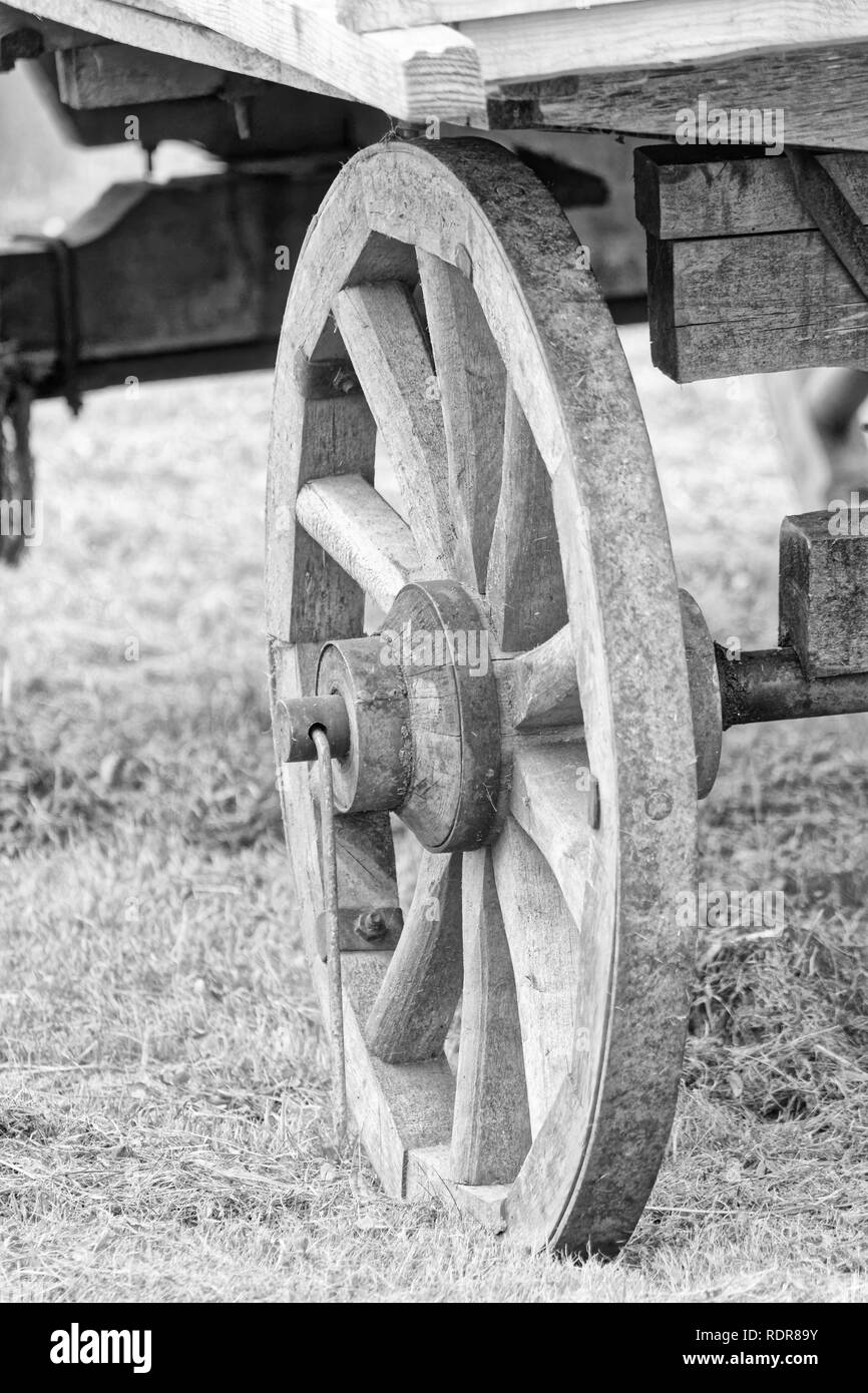 Old Cart Schemat Vintage Wooden Cart Hand Drawn Sketch Royal