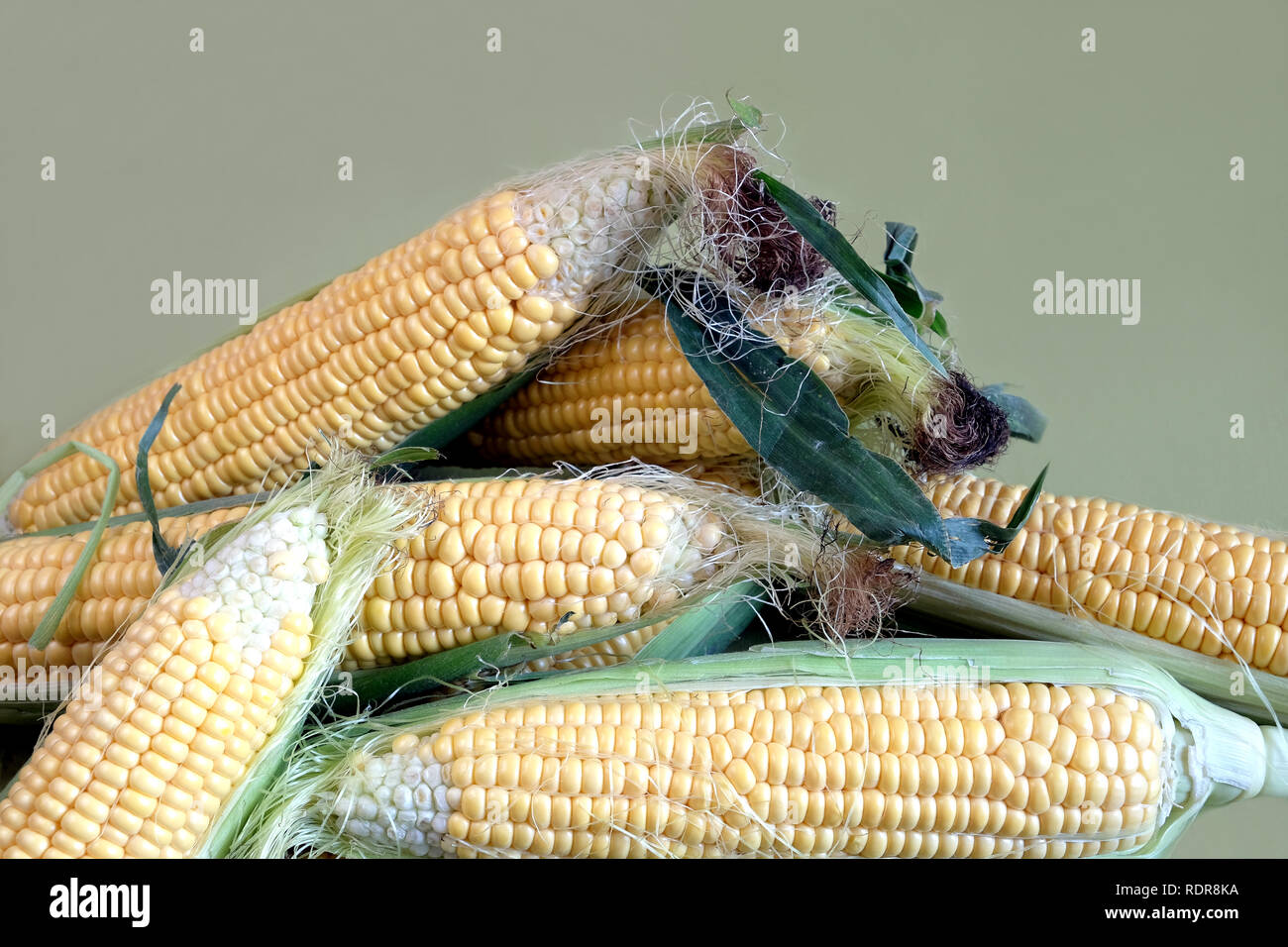 Pile of many ripe corn on the cob with green leaves closeup Stock Photo ...