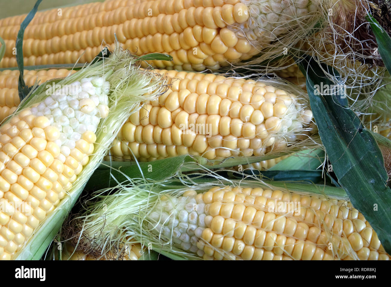 Many color corn hi-res stock photography and images - Alamy