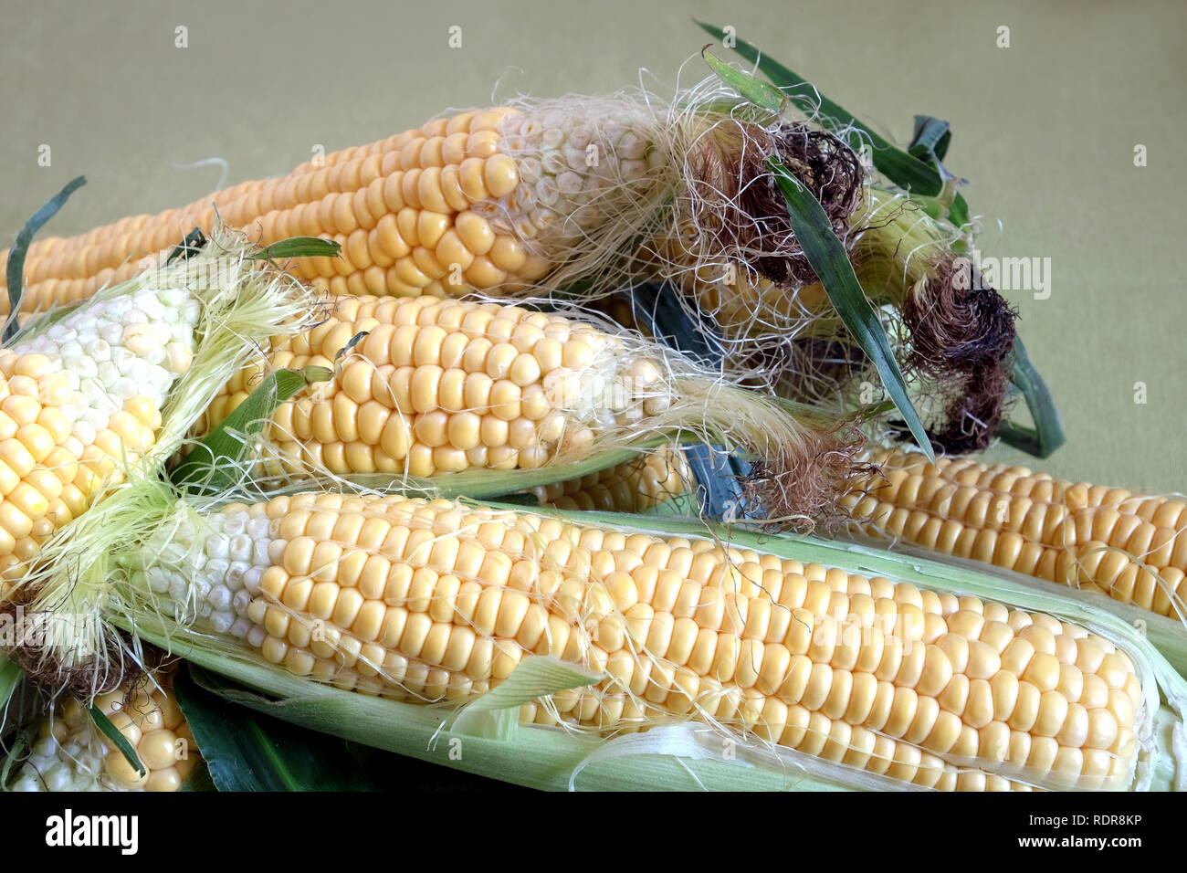 Corn harvest pile hi-res stock photography and images - Alamy