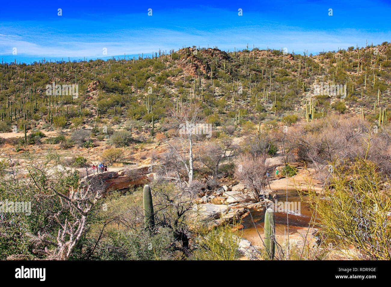 Arizona hot spring trail hi-res stock photography and images - Alamy