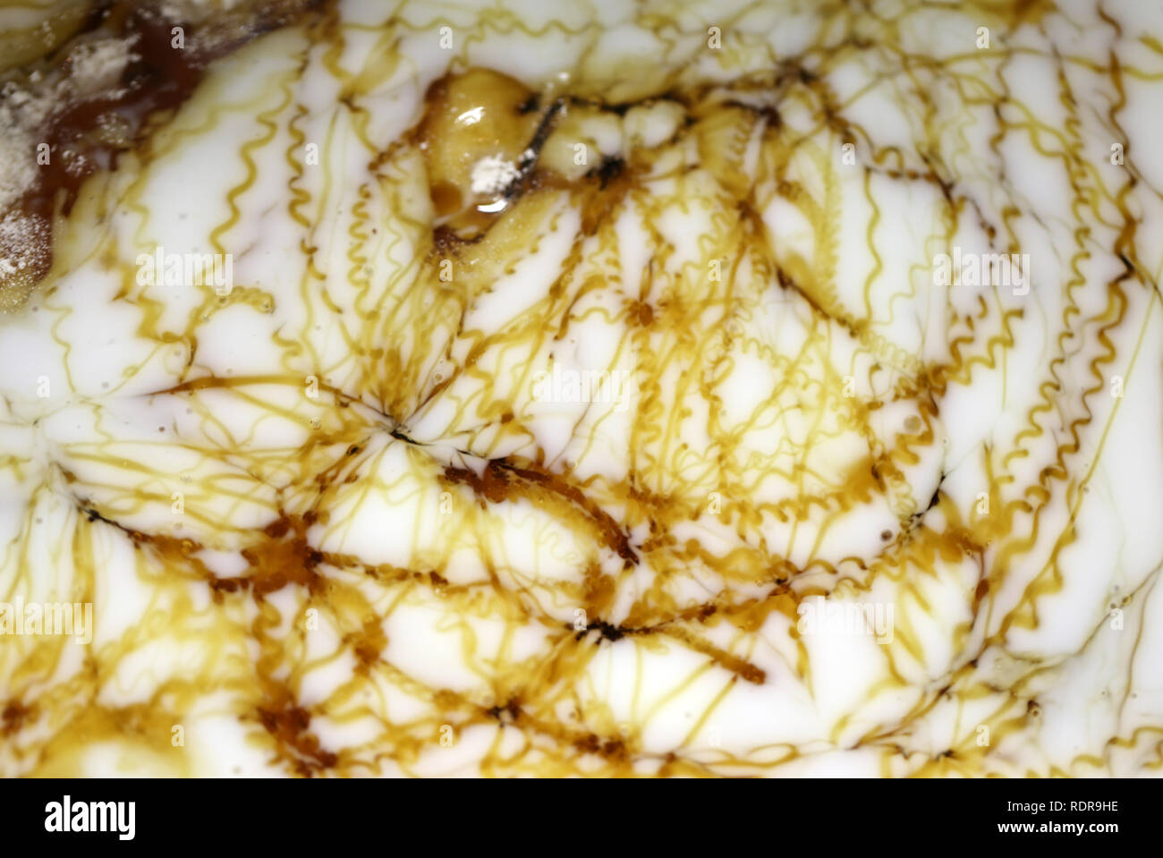 Interesting abstract artistic photo created during a bundt cake baking ...