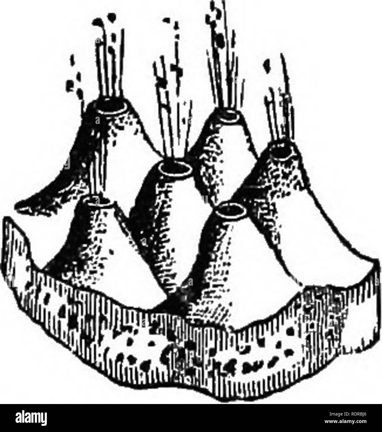 Slimy substance Cut Out Stock Images & Pictures - Alamy