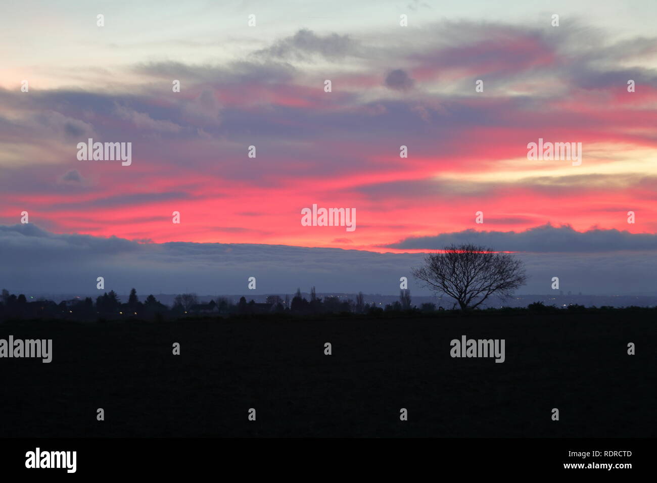 Pink banding hi-res stock photography and images - Alamy