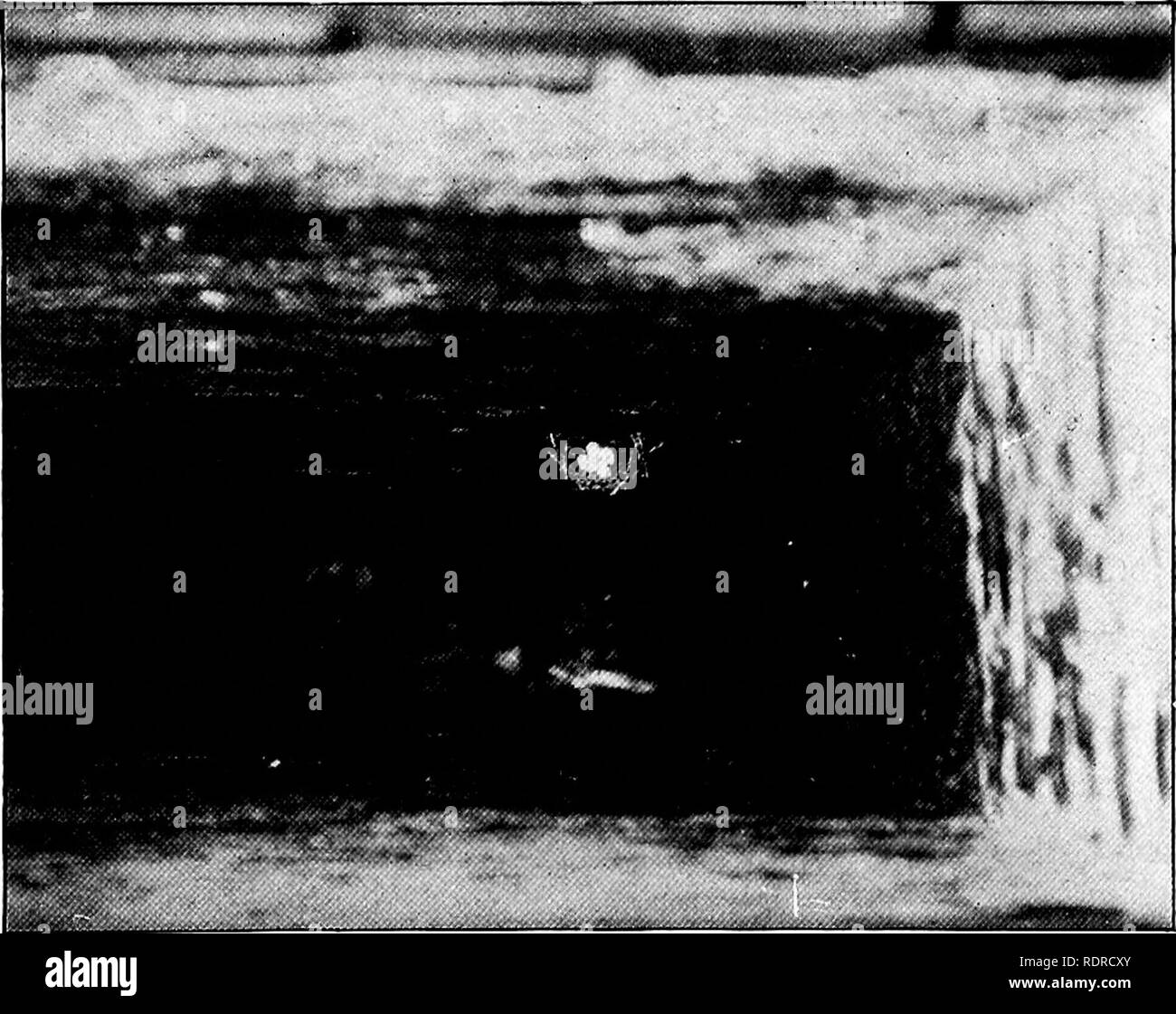 Semi circular framework hi-res stock photography and images - Alamy