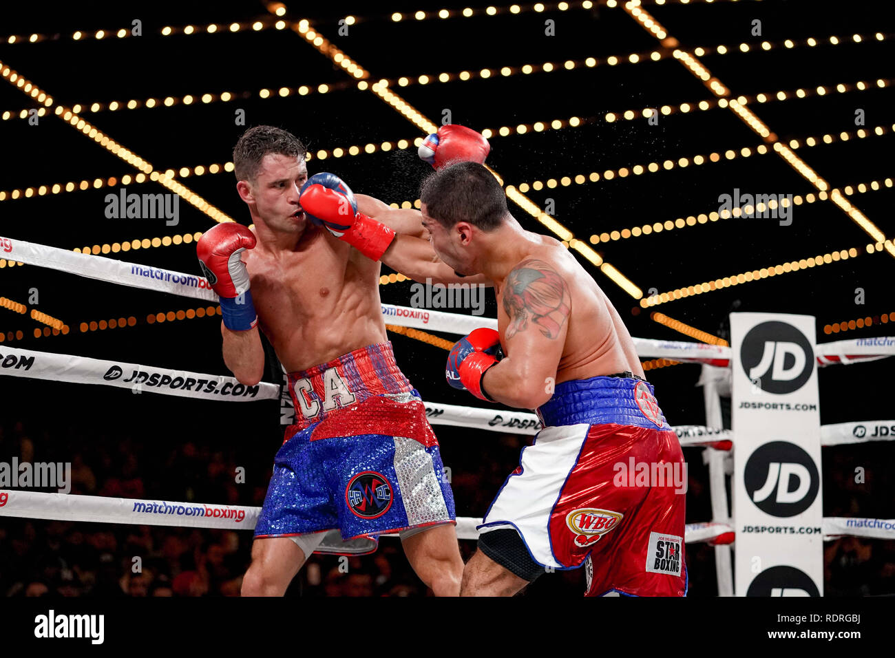 New York, New York, USA. 18th Jan, 2019. CHRIS ALGIERI (blue, red, and ...