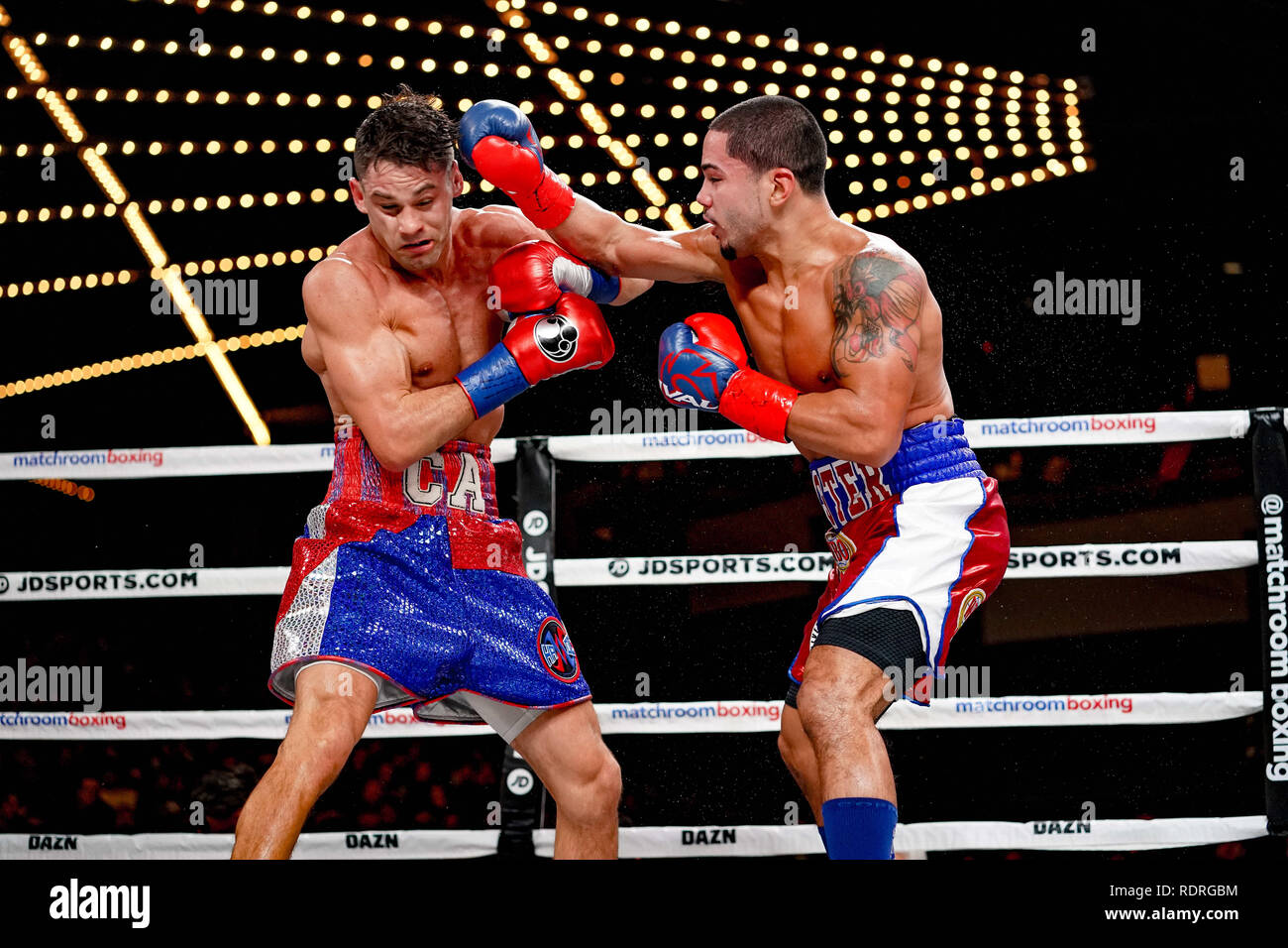 New York, New York, USA. 18th Jan, 2019. CHRIS ALGIERI (blue, red, and ...