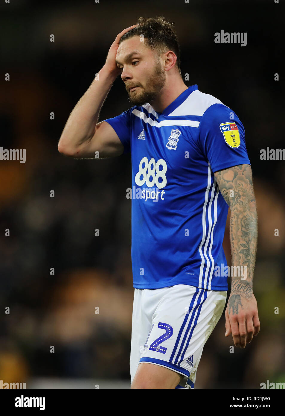 Harlee High Resolution Stock Photography and Images - Alamy