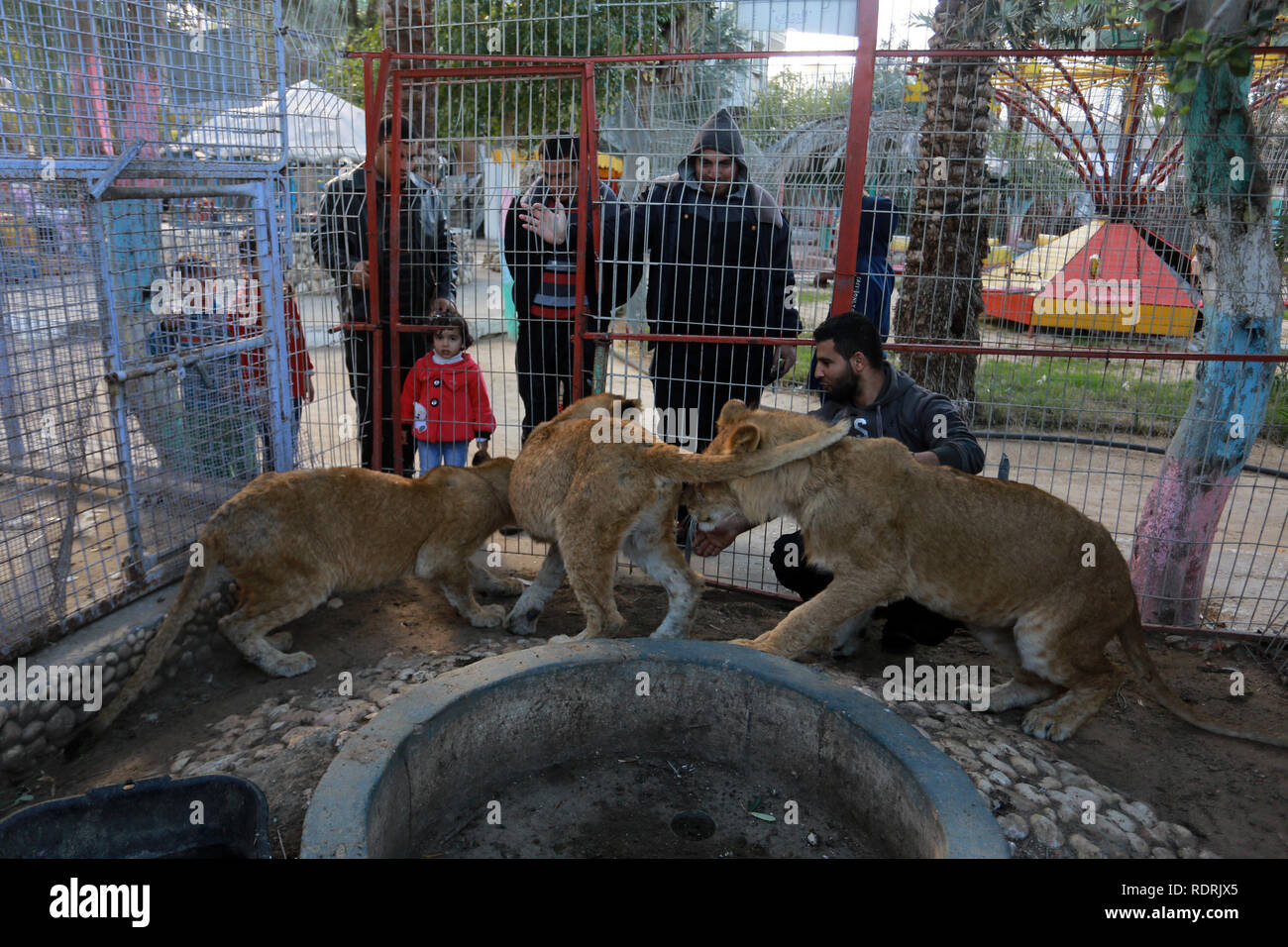 Gaza, Palestinian Territories. 18th Jan, 2019. Palestinian visitors ...