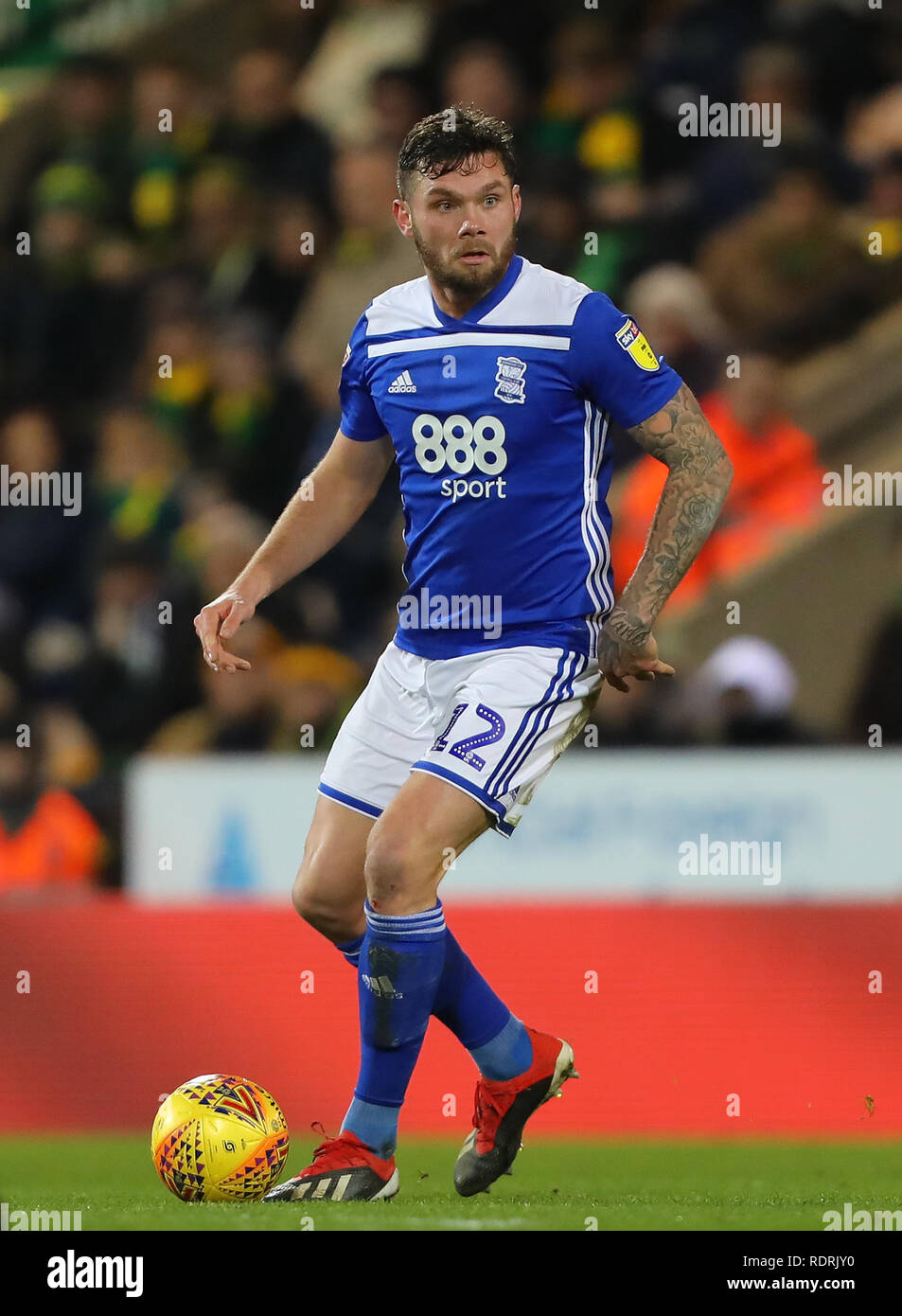 Harlee High Resolution Stock Photography and Images - Alamy