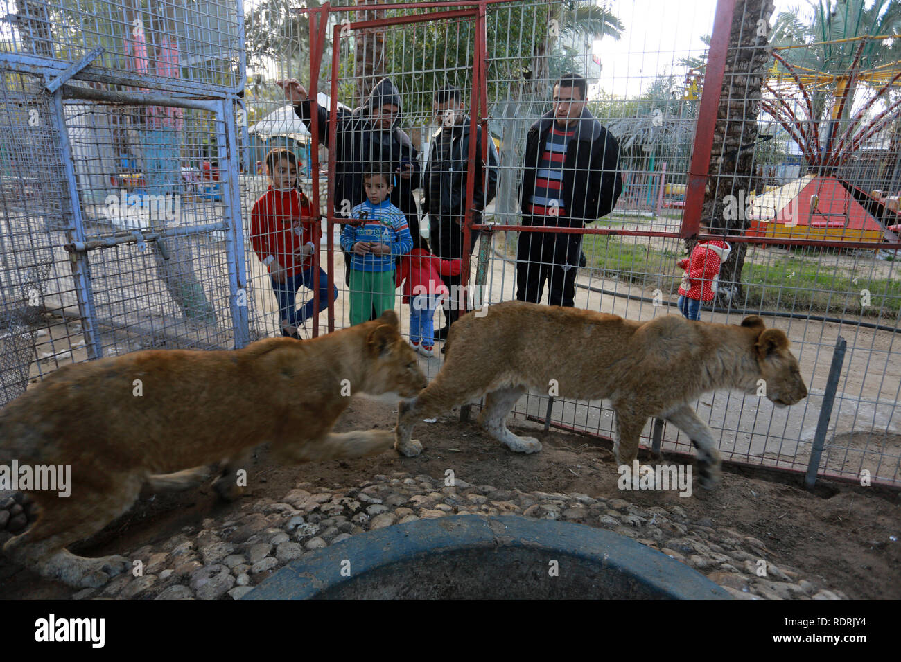 Gaza, Palestinian Territories. 18th Jan, 2019. Palestinian visitors ...