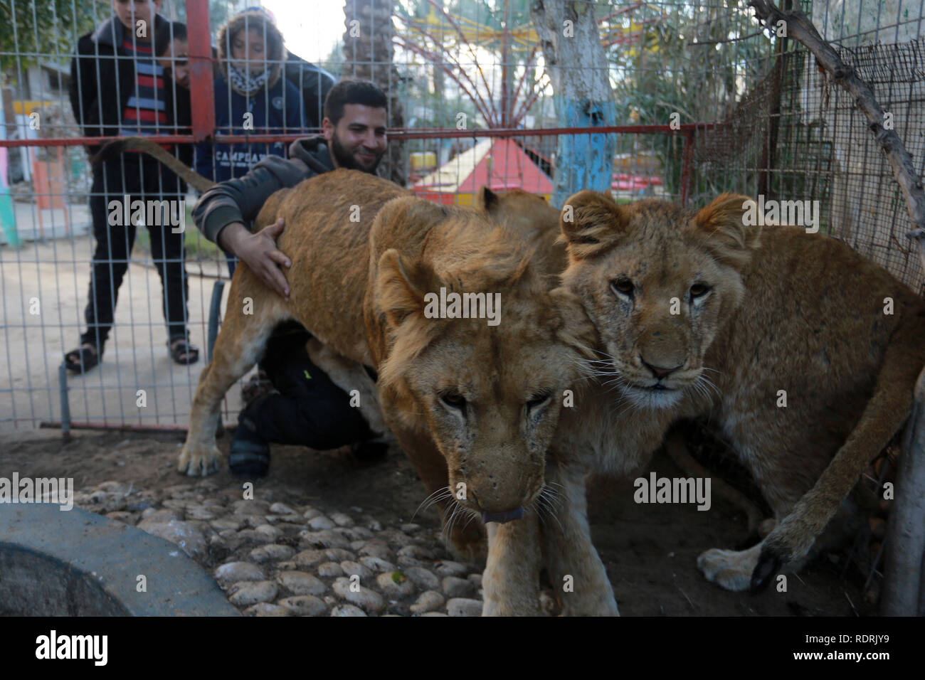 Zoo worker hi-res stock photography and images - Alamy
