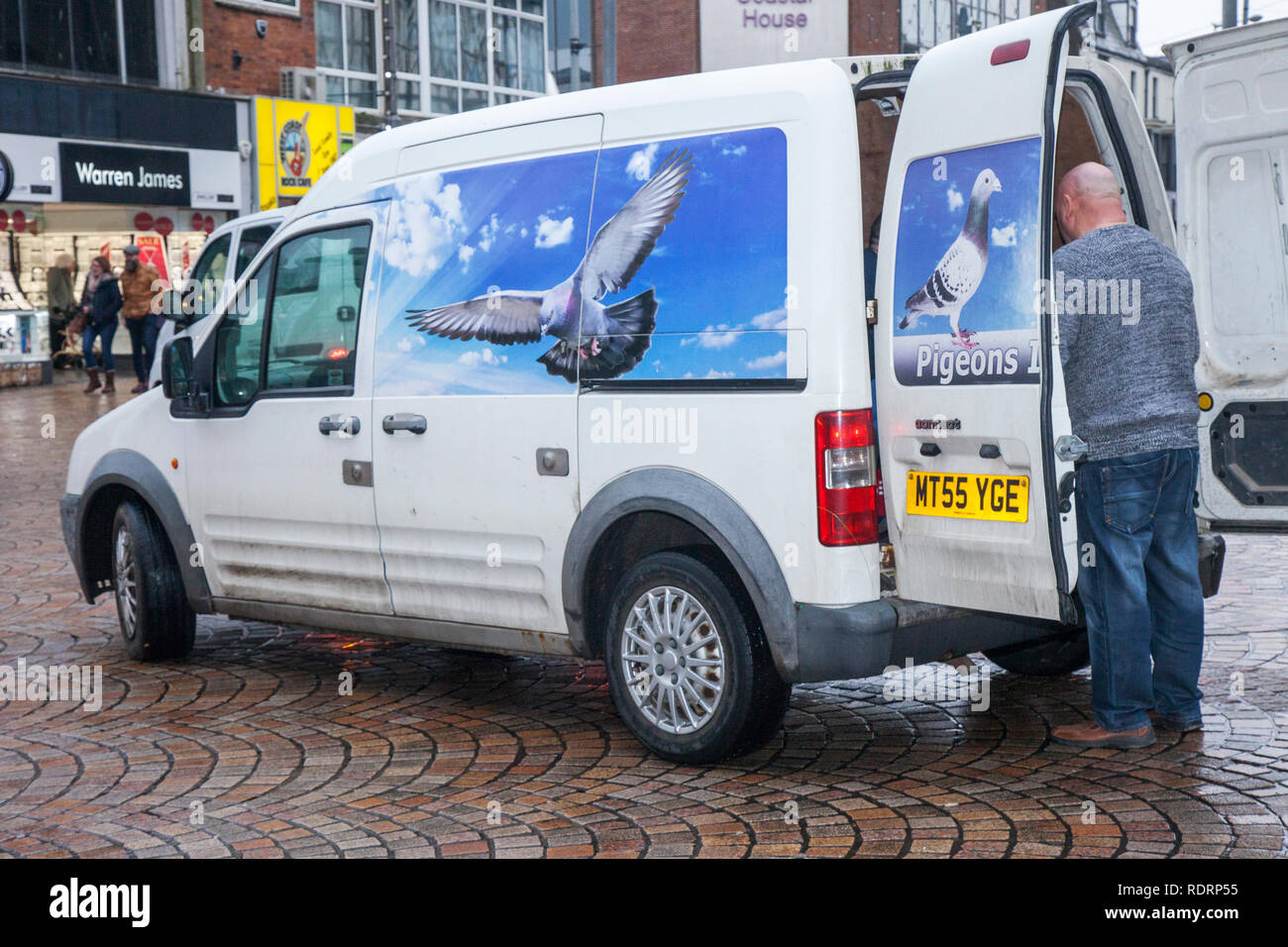 Racing Pigeon Transport Stock Photos & Racing Pigeon Transport Stock ...