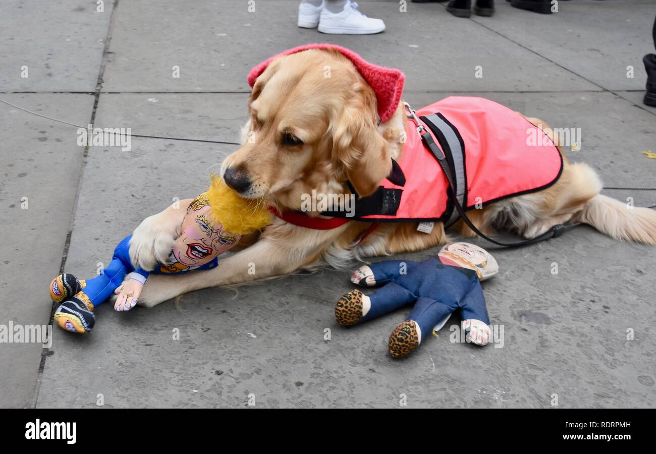 Boris johnson doll hi-res stock photography and images - Alamy