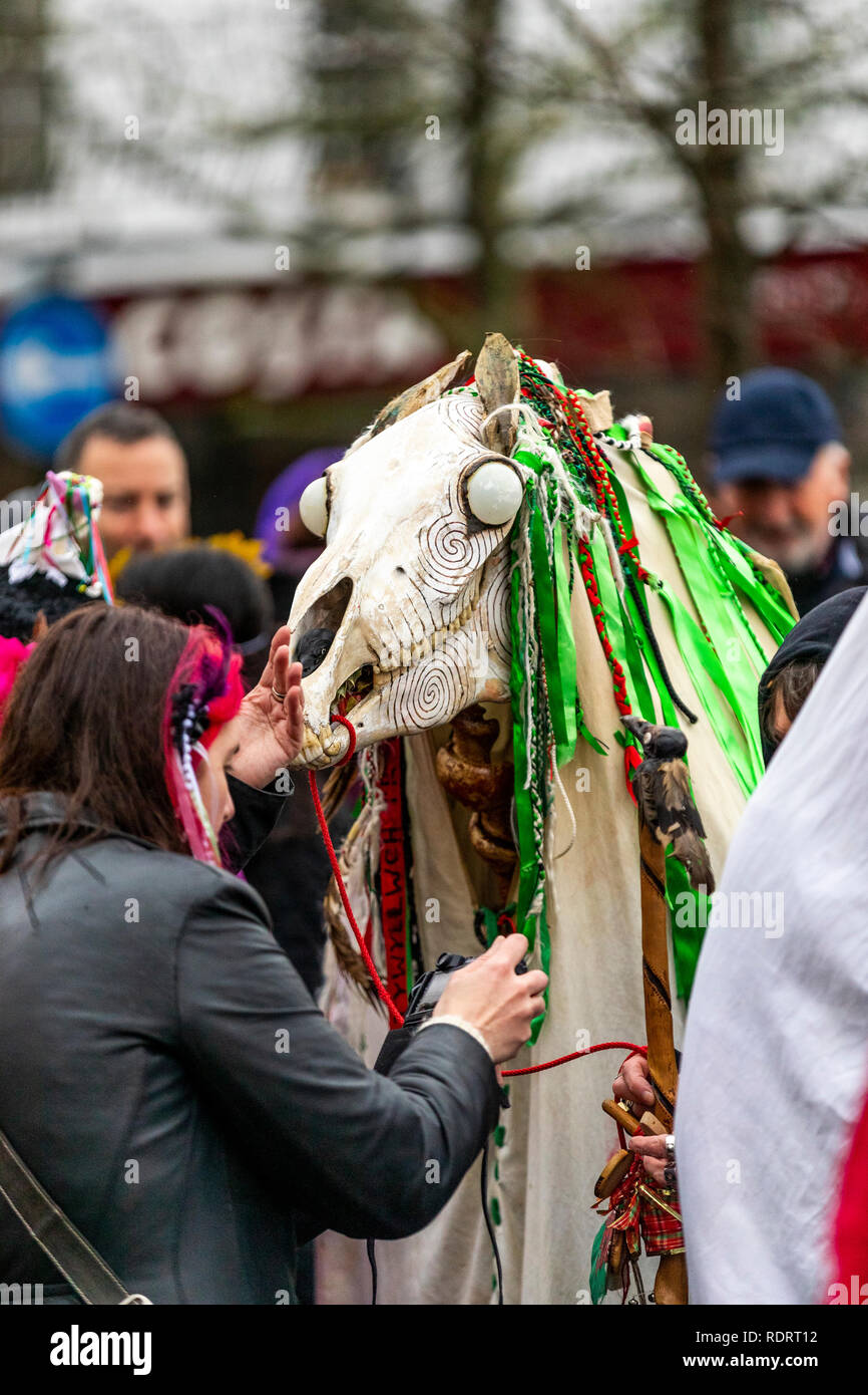 Welsh cider festival hi-res stock photography and images - Alamy