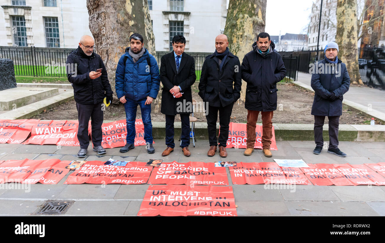 Westminster, London, 19th Jan 2019. Activists in support of the 'Free ...