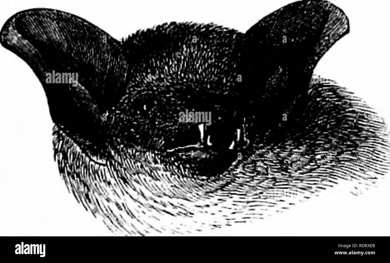 47 foot Black and White Stock Photos & Images - Alamy