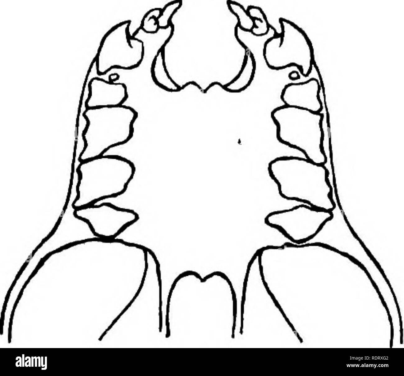 Inclined inwards Black and White Stock Photos & Images - Alamy