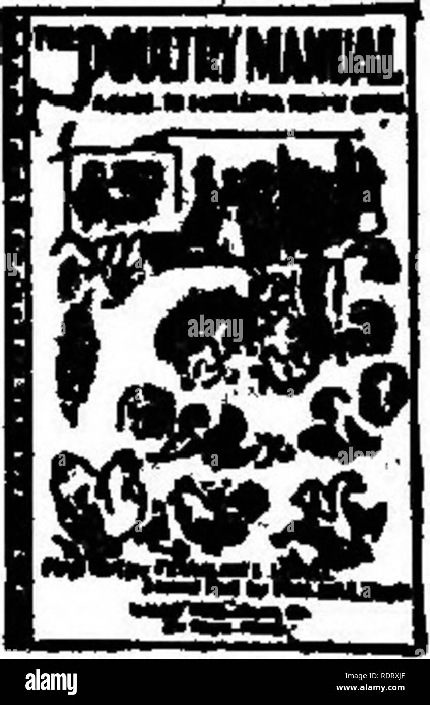 Fart eggs Black and White Stock Photos & Images - Alamy