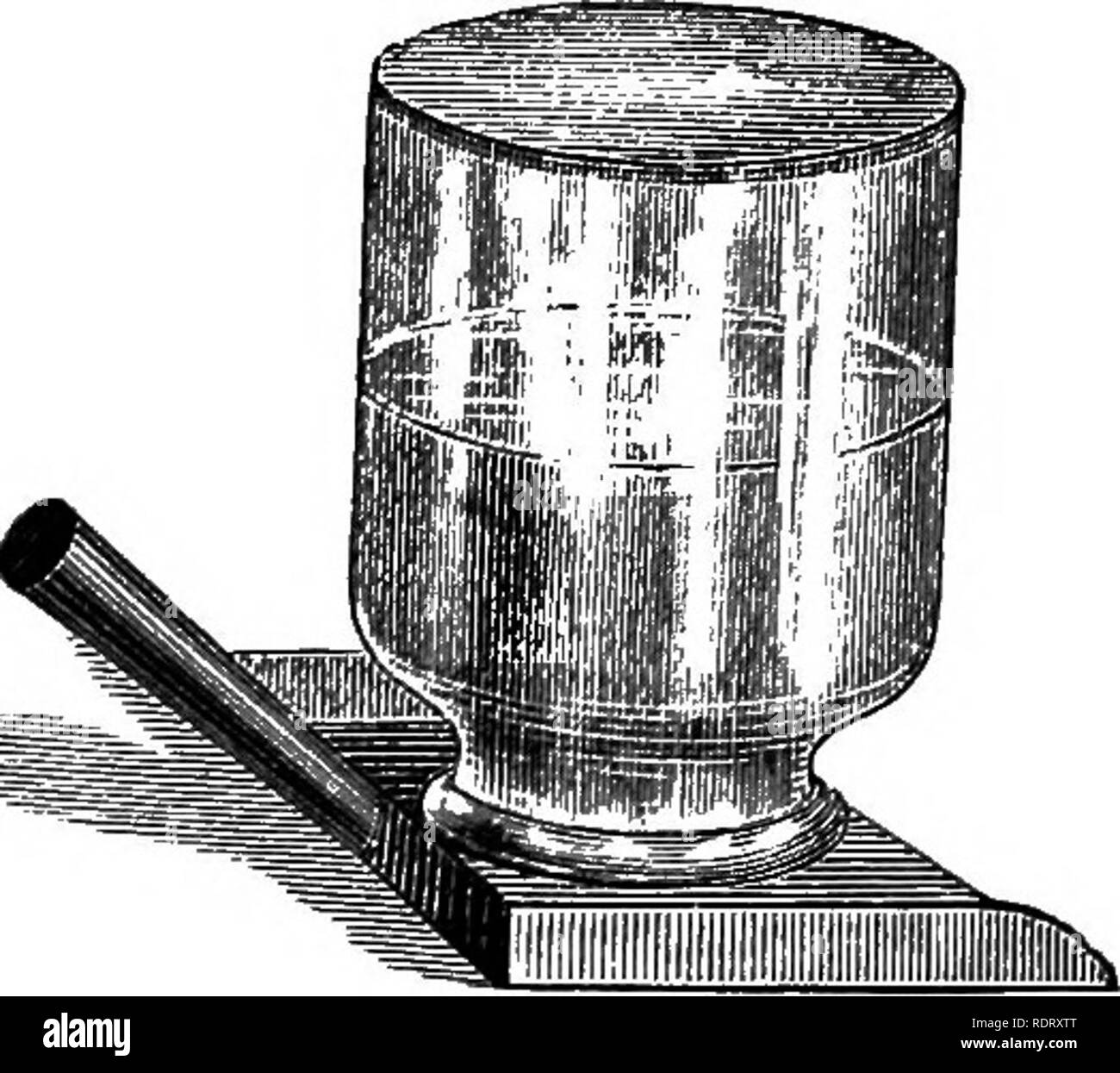 Pretend bee Black and White Stock Photos & Images - Alamy