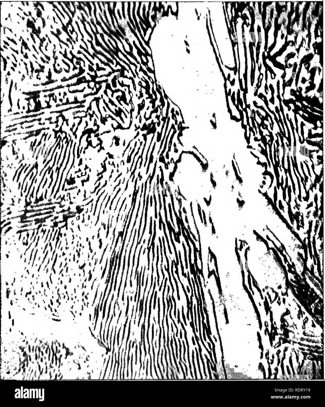 Steel under microscope hi-res stock photography and images - Alamy