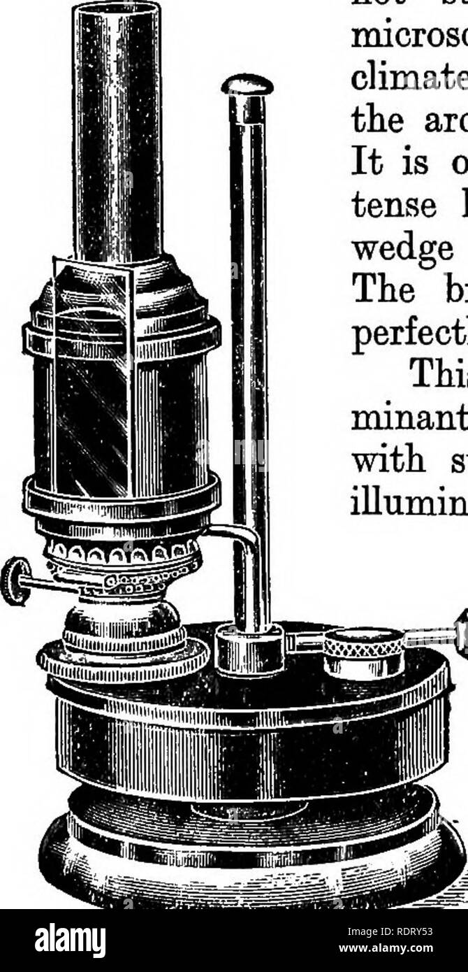 Paper tissue microscope hi-res stock photography and images - Alamy