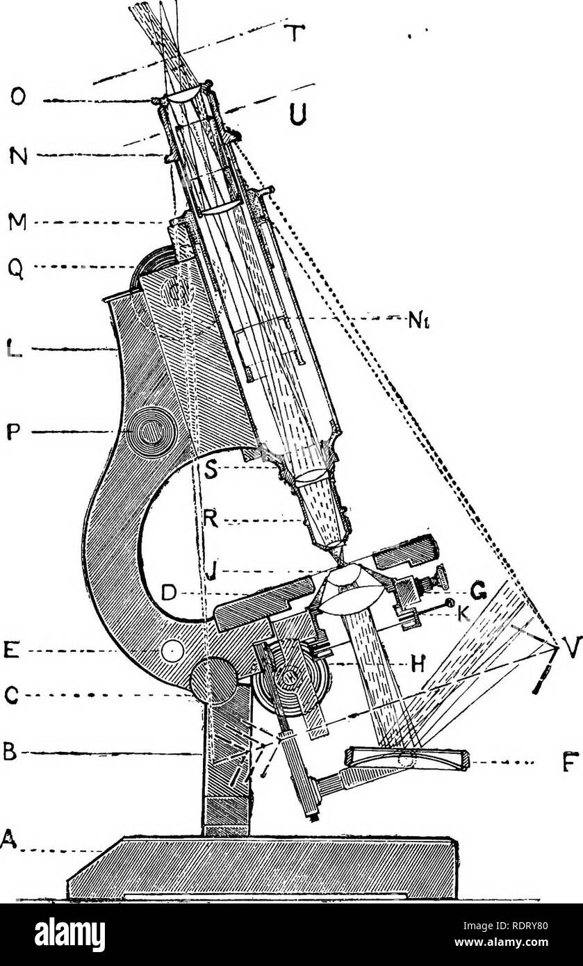 . The microscope; a simple handbook. Microscopes. Fia. 1.—^Diagram of a ...