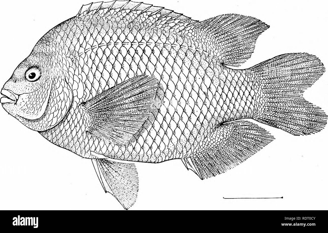 In warm shades of red Black and White Stock Photos & Images - Alamy