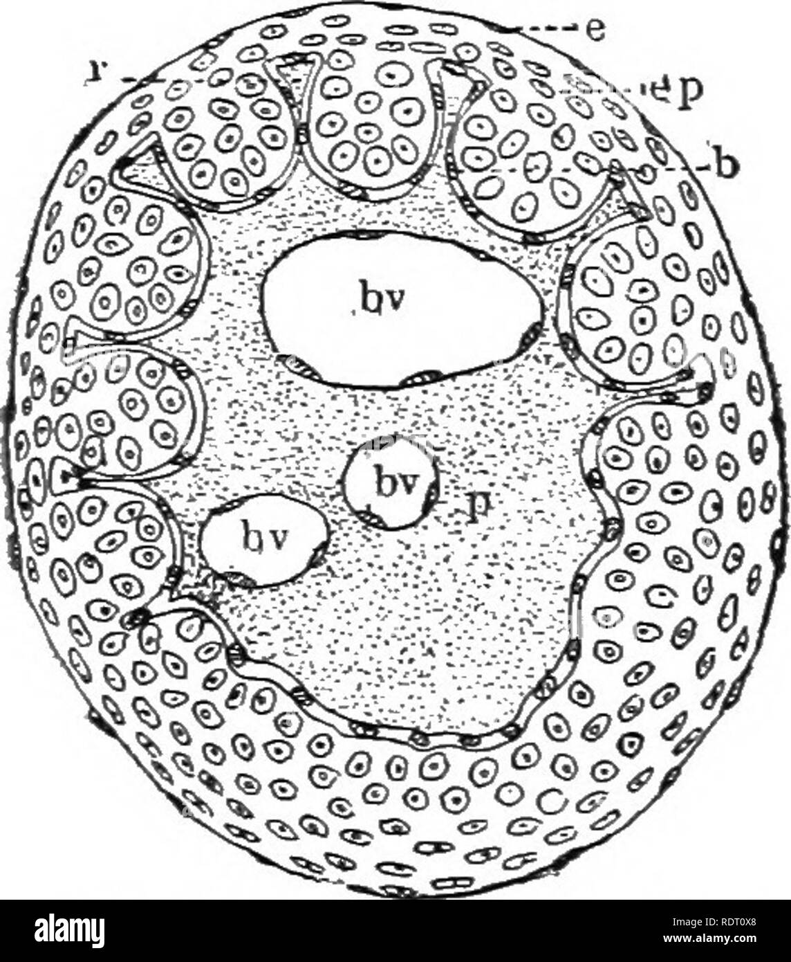 Two cylindrical rods hi-res stock photography and images - Alamy