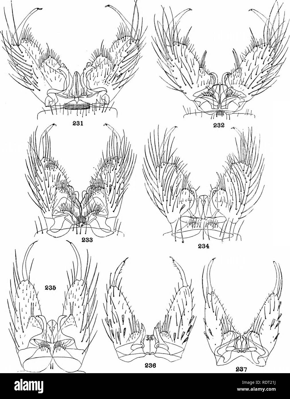 Grabham Black and White Stock Photos & Images - Alamy