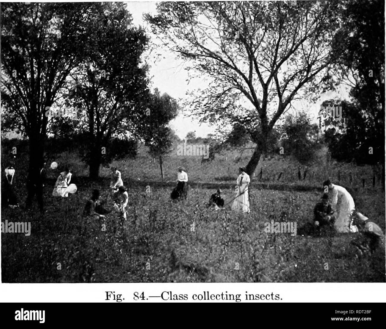 Rotten bodies Black and White Stock Photos & Images - Alamy