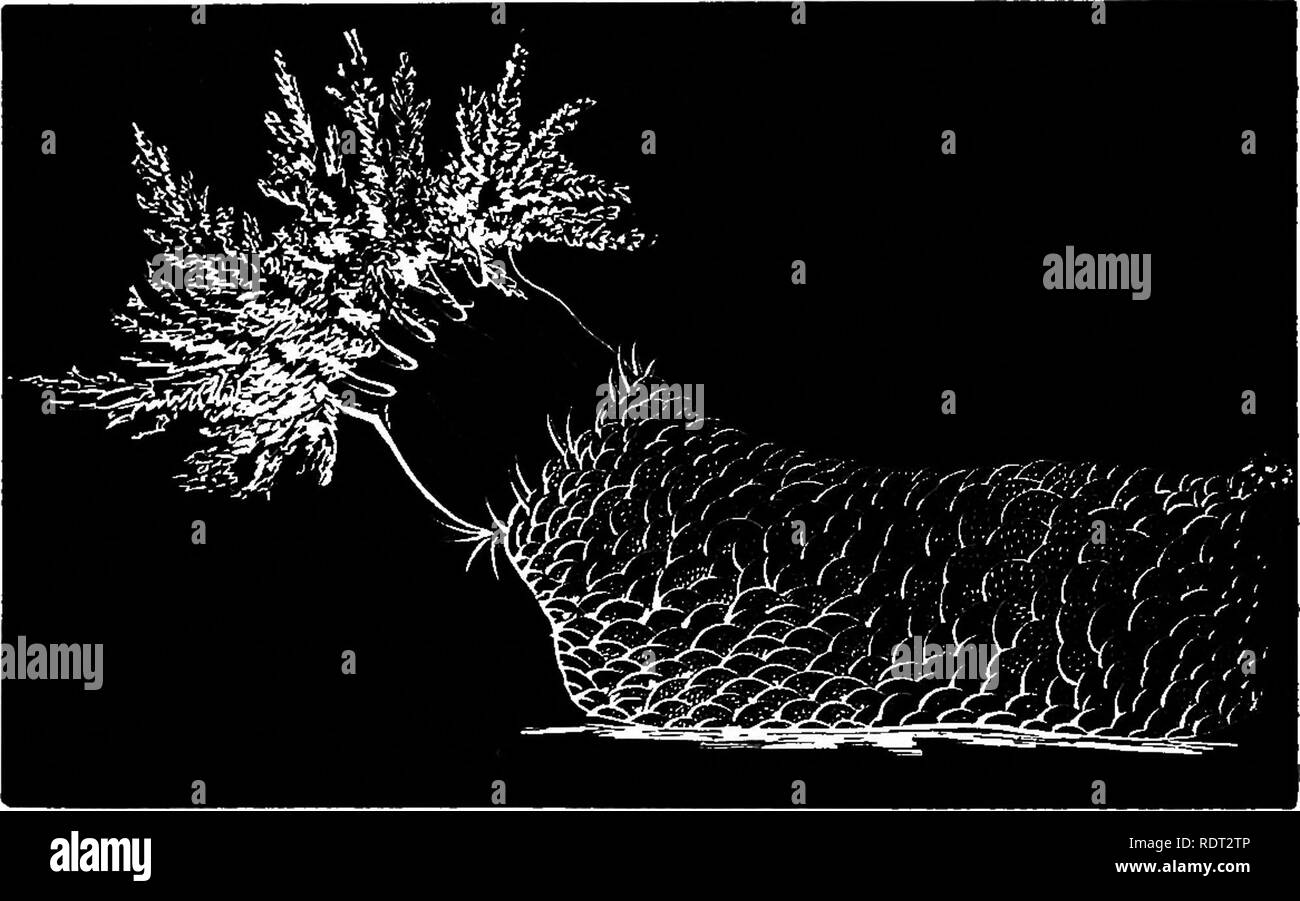 Growing lump Black and White Stock Photos & Images - Alamy